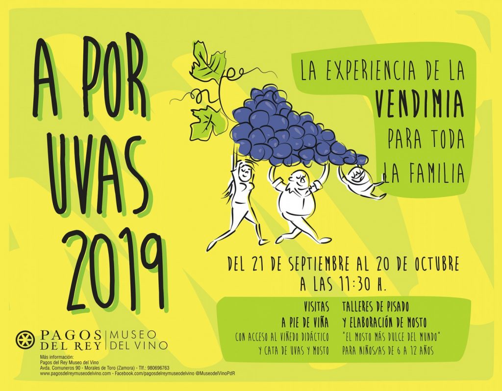 “A por Uvas 2019”, la vendimia en Pagos del Rey Museo del Vino | Pagos ...