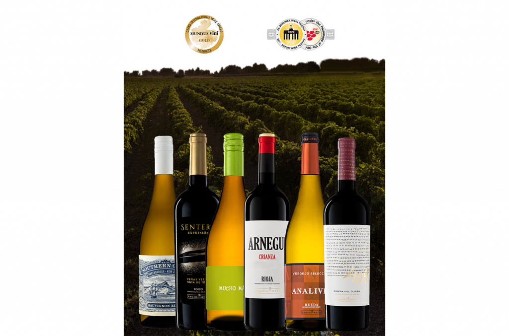 Museo del Vino | Pagos del Rey | Museo del vino